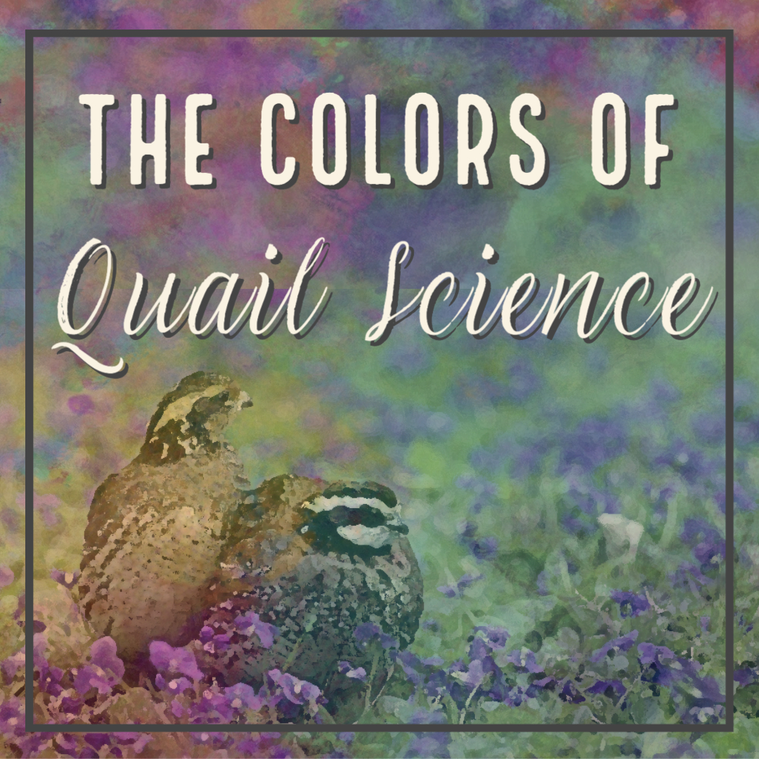 Richard M. Kleberg Jr Center for Quail Research | Caesar Kleberg ...